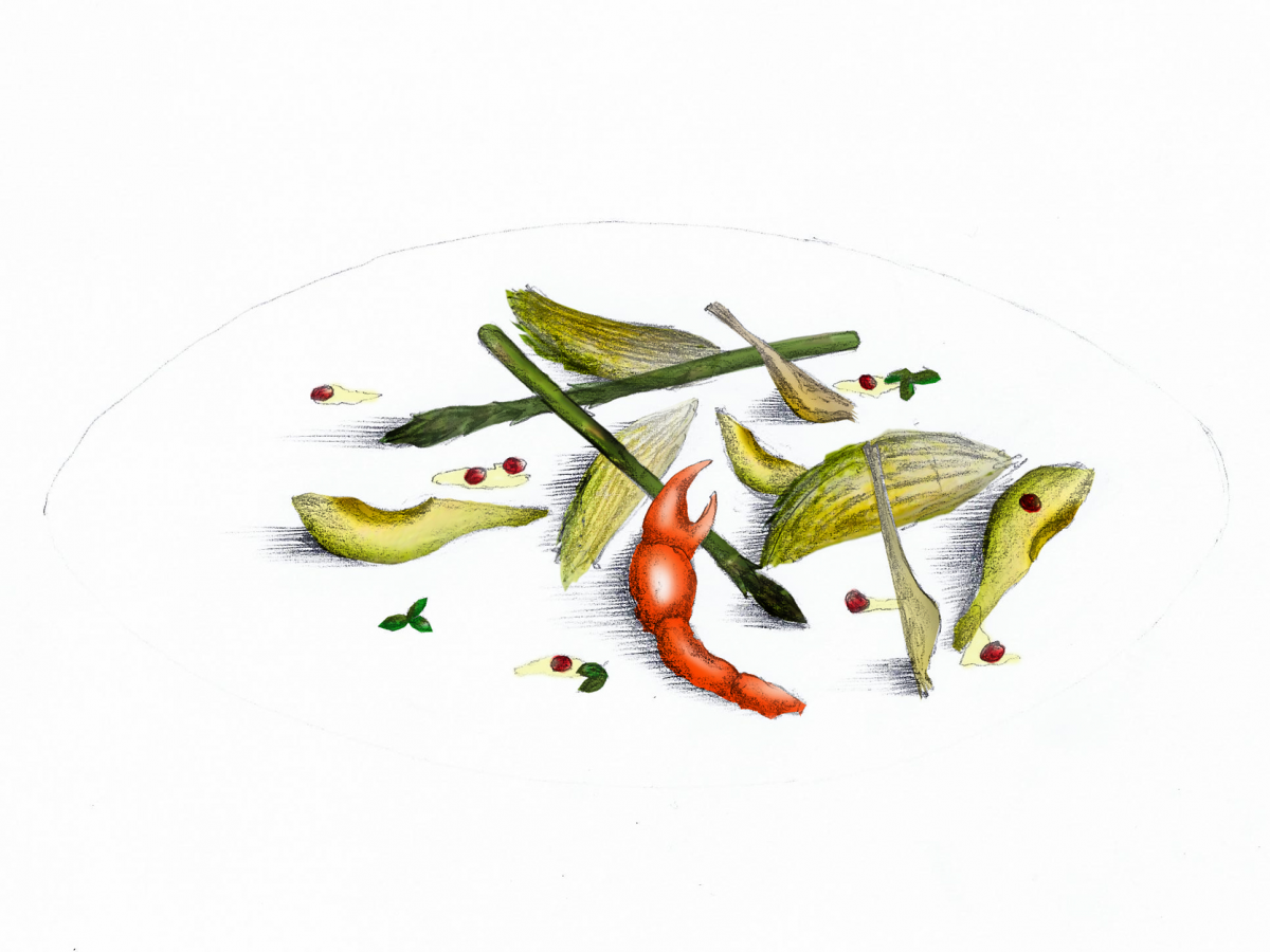 Design culinaire : création et innovation - Trait'Tendance